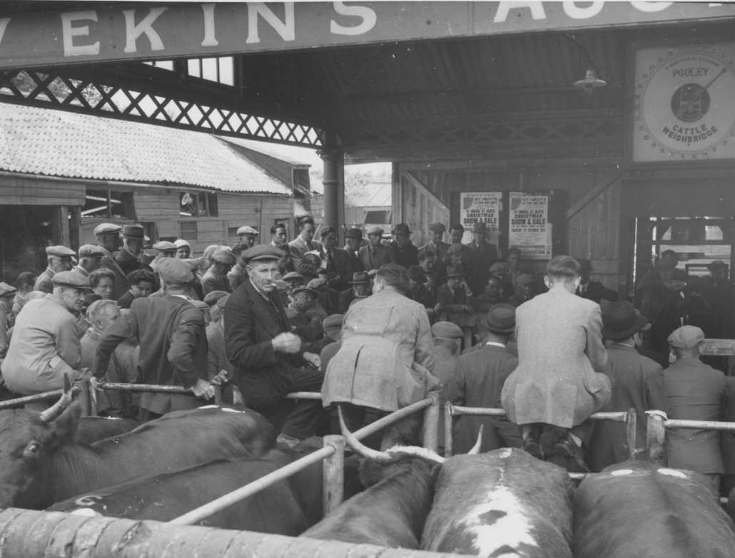 Ekins NewSt 1950s - St Neots Museum